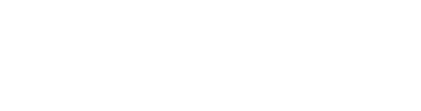 Behavior Detection Program Sira